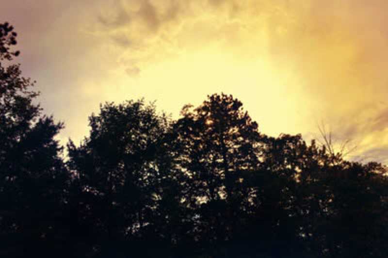 Town of Cloverland - Home